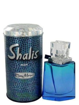 Shalis Men's Long-Lasting Fragrance Perfume Spray, 100ml - Spicy ...